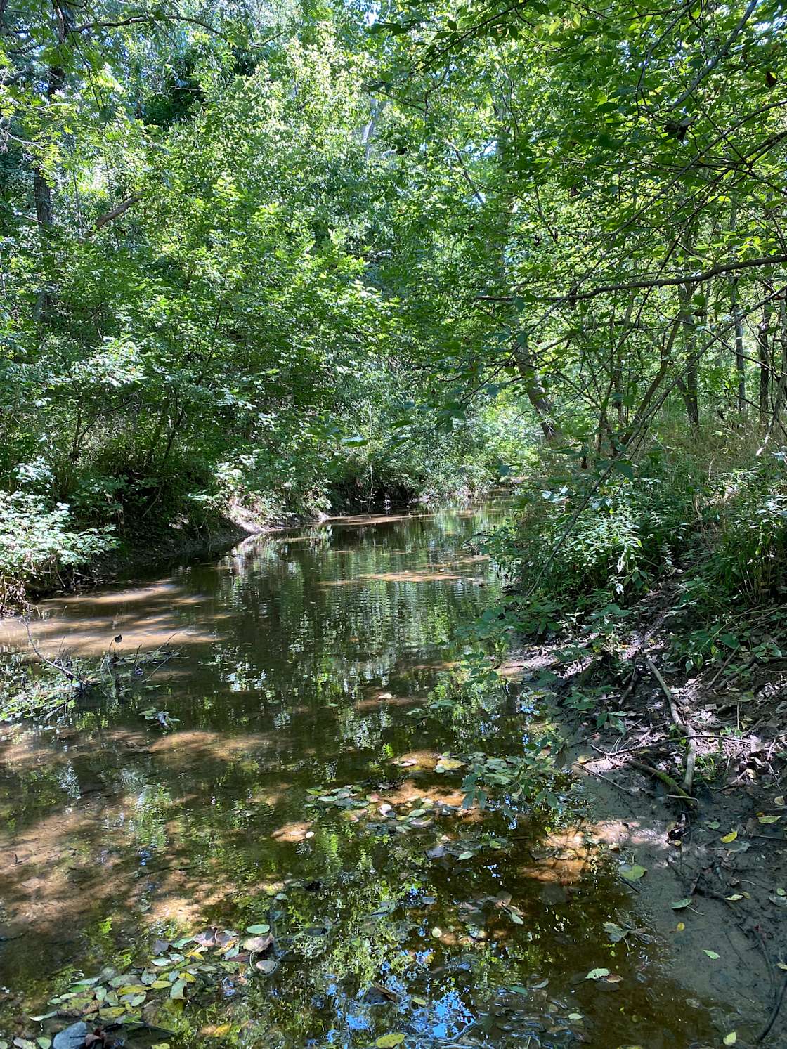Cherokee Valley Bison Ranch Creekside Retreat - Hipcamp in Thornville, Ohio