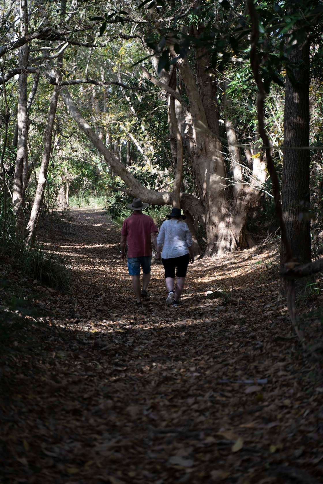 Rusty Pheasant RV Retreat - Hipcamp in Biboohra, Queensland