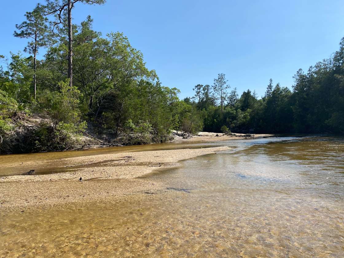 The Wandering Path - Hipcamp in Milton, Florida