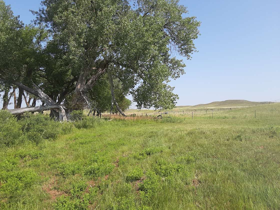 Minnechaduza Creekside Campsites - Hipcamp in Crookston, Nebraska