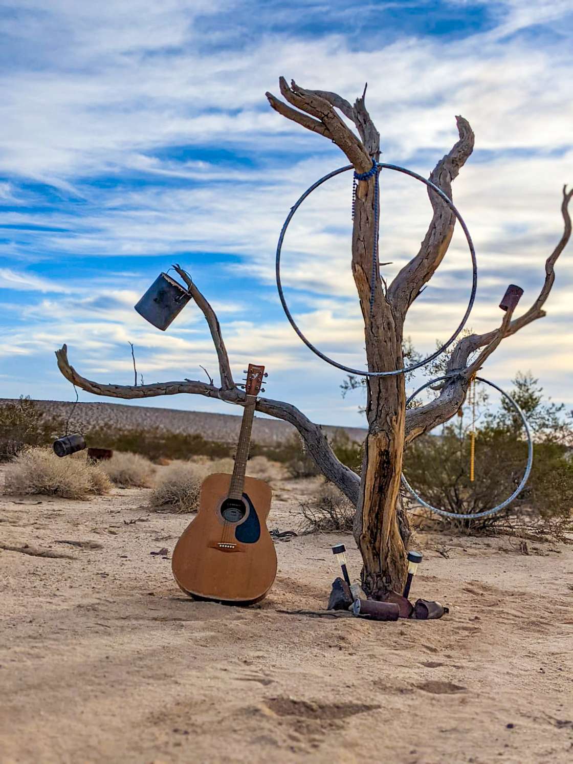 Tammy Reeves - Hipcamp in Joshua Tree, California