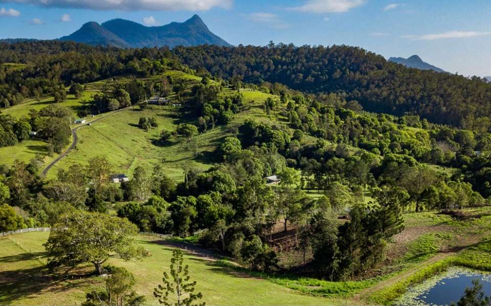 Fig Tree Hill - Hipcamp in Kunghur, New South Wales
