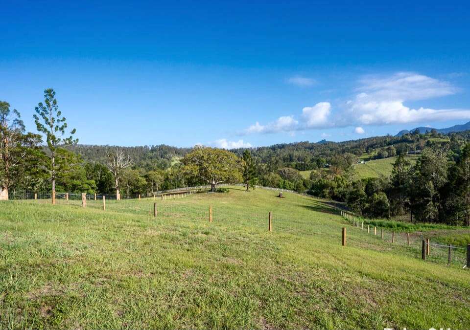 Fig Tree Hill - Hipcamp in Kunghur, New South Wales