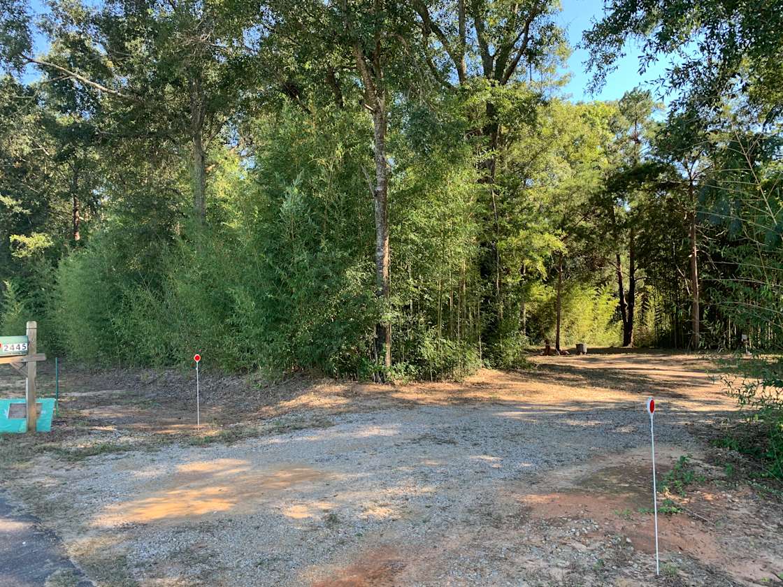 Camping at Bamboo Forest - Hipcamp in Newton, Alabama