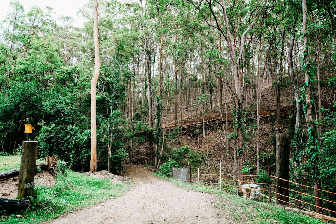 Samsonvale Forest - Hipcamp in Samsonvale, Queensland