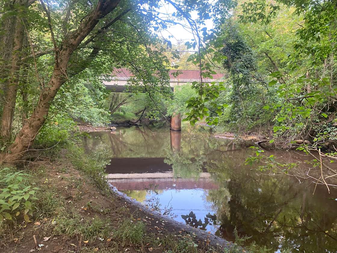 Creek Yurt Camping. Stars and Fires - Hipcamp in Groveville, New Jersey