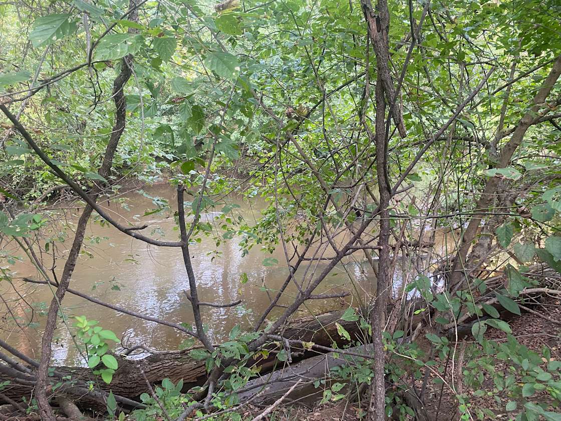 Creek Yurt Camping. Stars and Fires - Hipcamp in Groveville, New Jersey