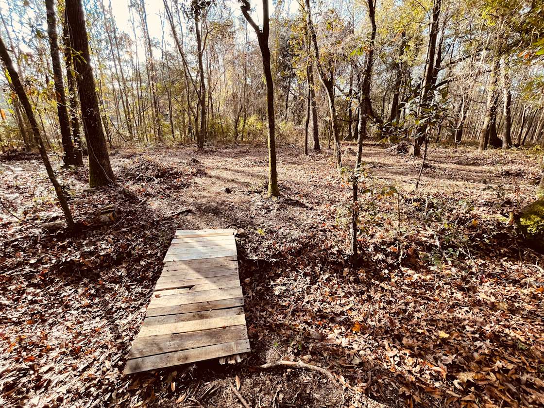 The Relief Garden - Hipcamp in Garnett, South Carolina