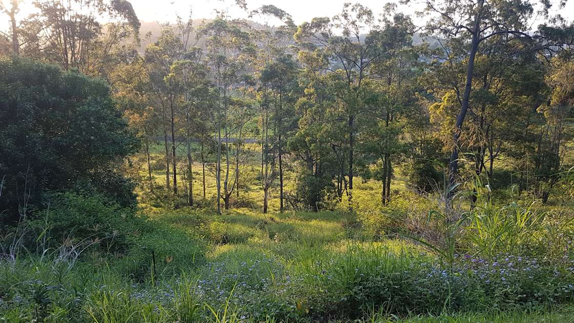 Lismore Views - Hipcamp in Goonellabah, New South Wales
