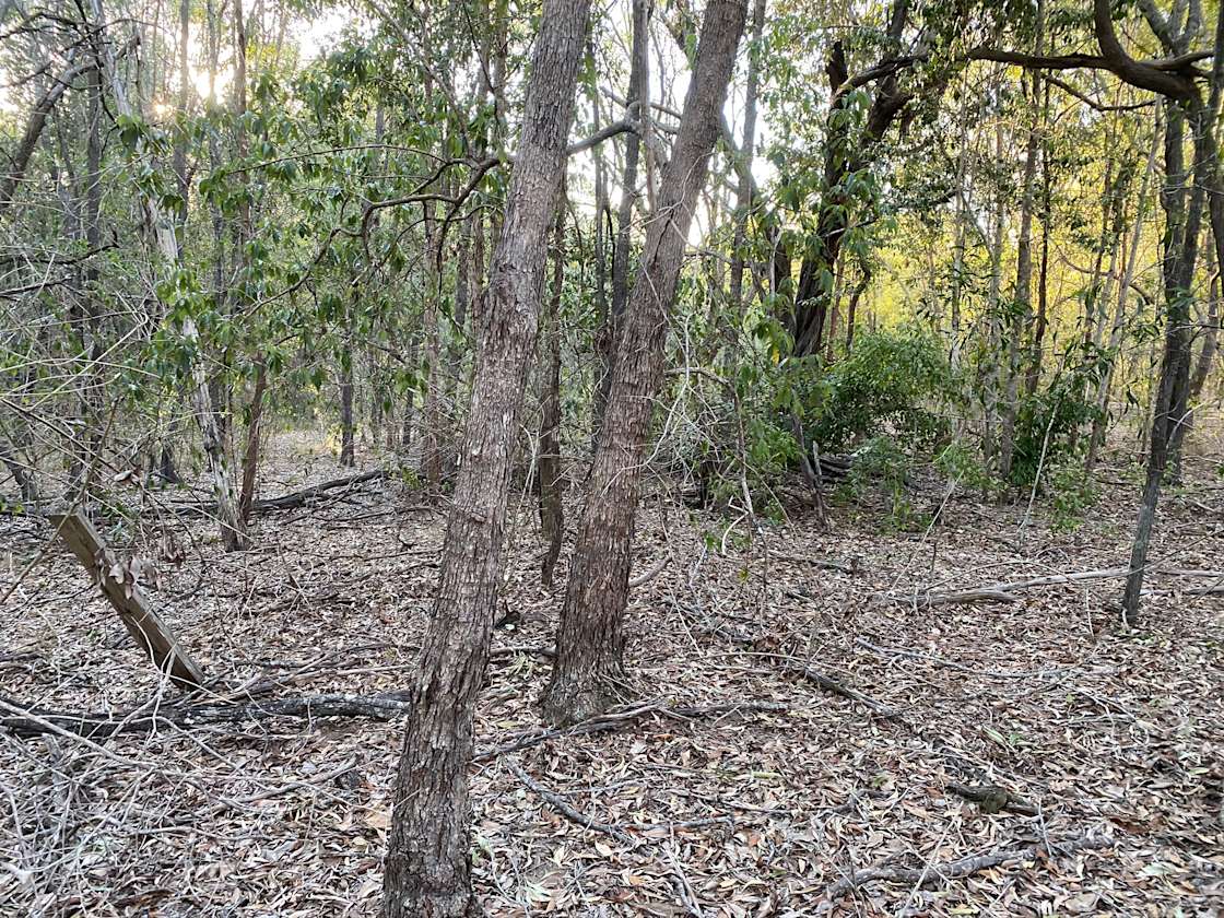 Echo Tree - Hipcamp in Glen Echo, Queensland