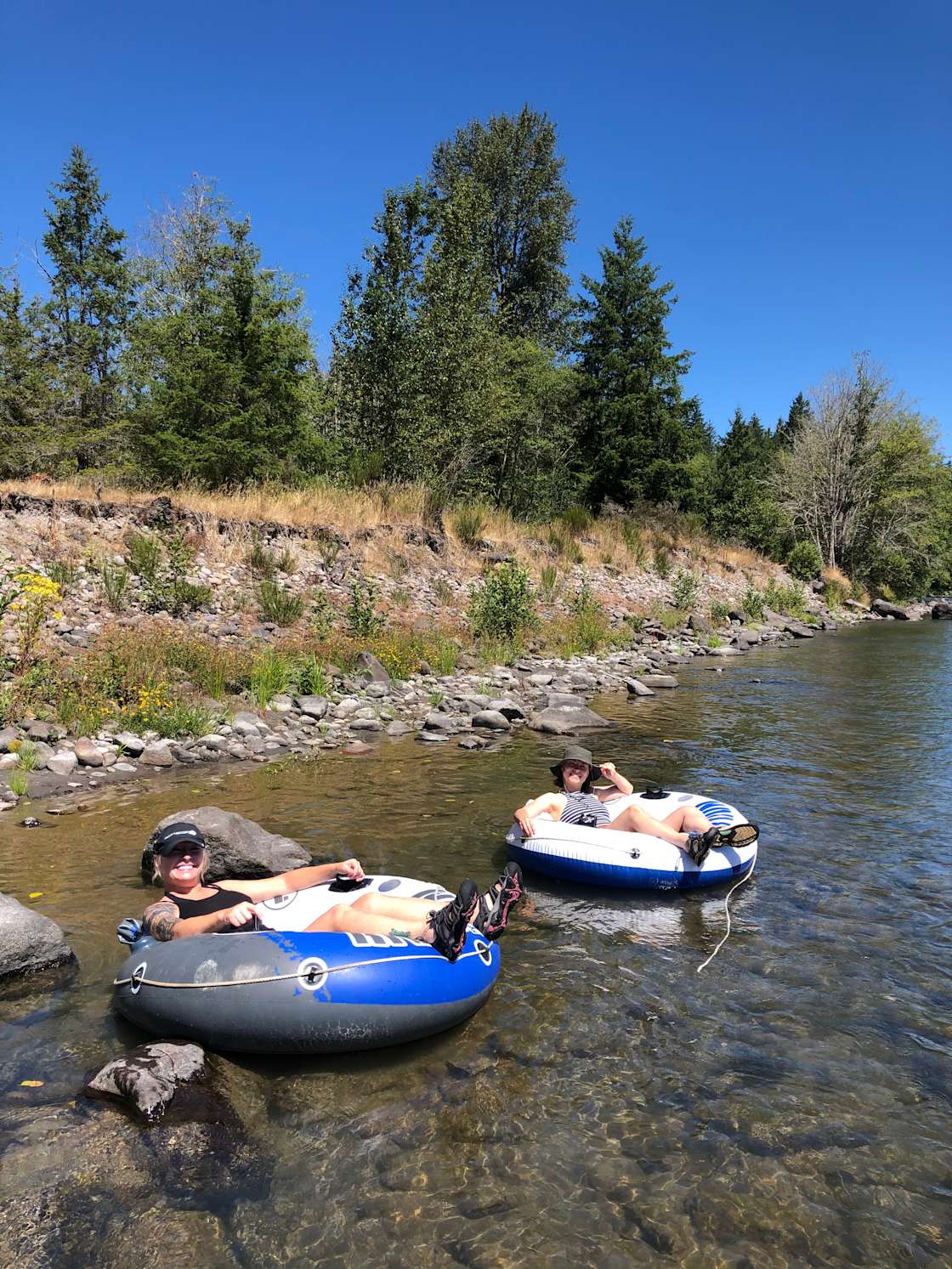 Otter Pond Riverfront Getaway - Hipcamp in Castle Rock, Washington