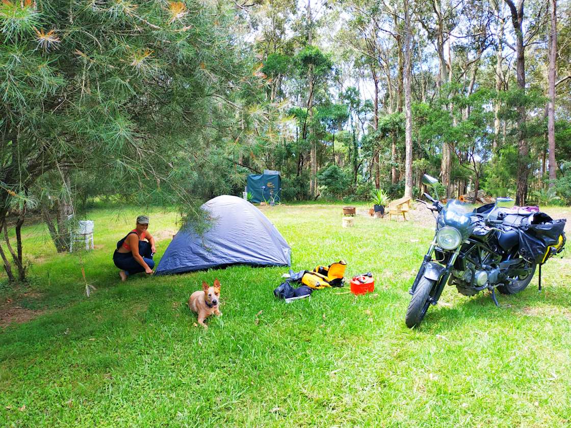 Narooma Paradise - Hipcamp in Narooma, New South Wales