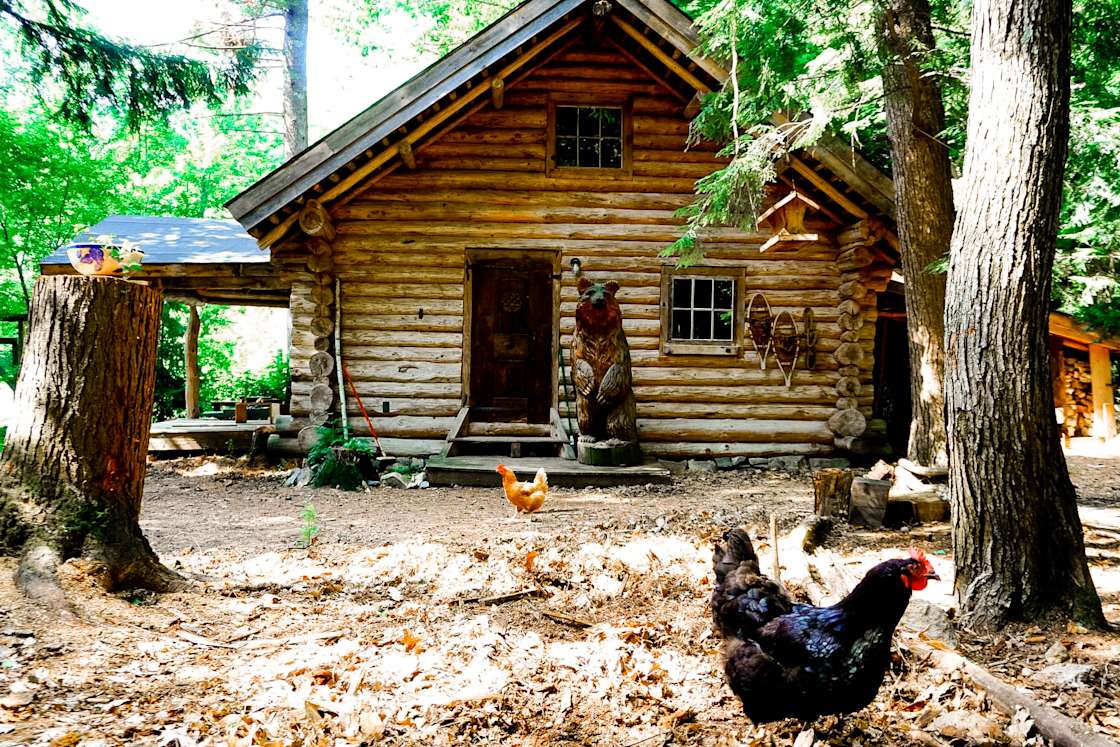 Bear Tree Homestead - Hipcamp in Trowbridge Park, Michigan