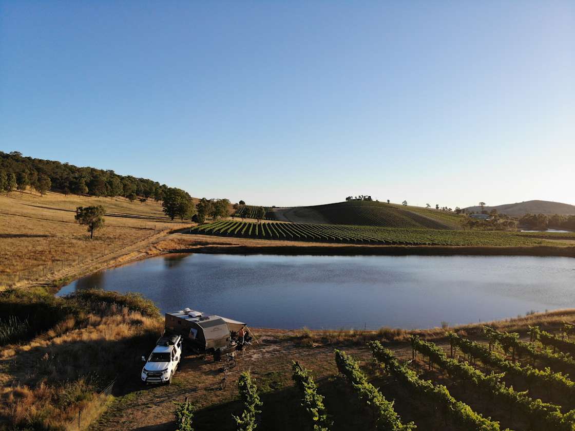 Mt Hope Vineyard Estate. - Hipcamp in Dixons Creek, Victoria