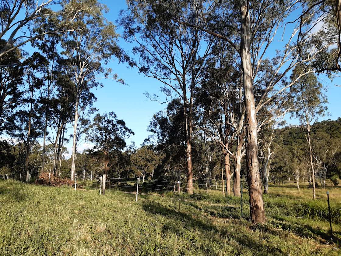 Drover's Rest - Hipcamp in Yandina Creek, Queensland