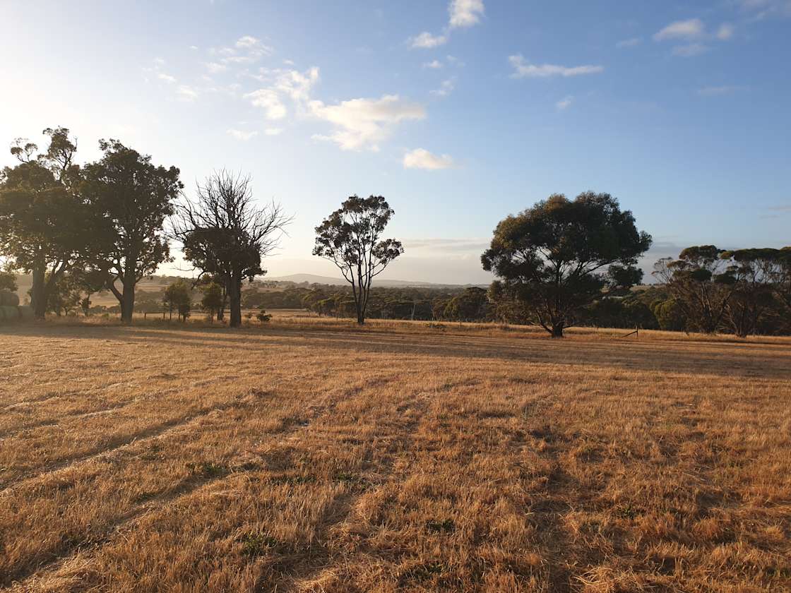 Kendenup Rural Camping - Hipcamp in Albany, Western Australia