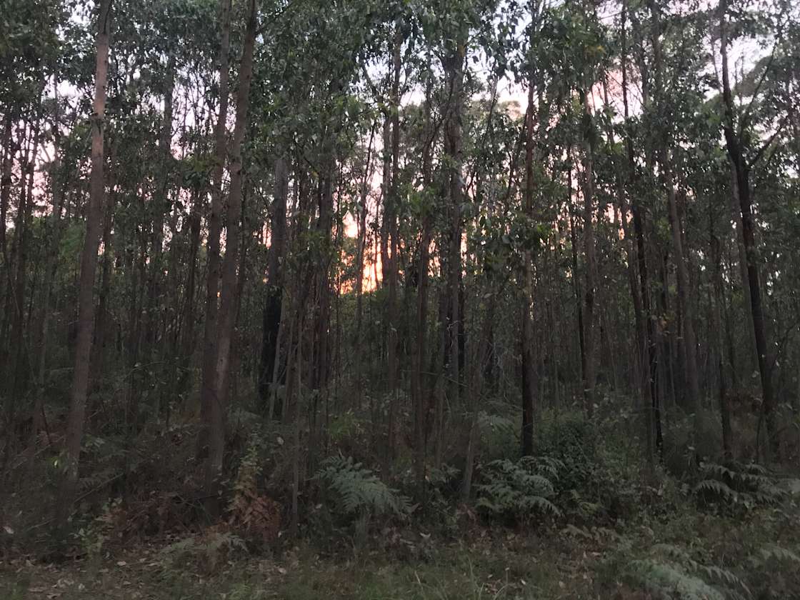 Kinglake East End - Hipcamp in Kinglake, Victoria