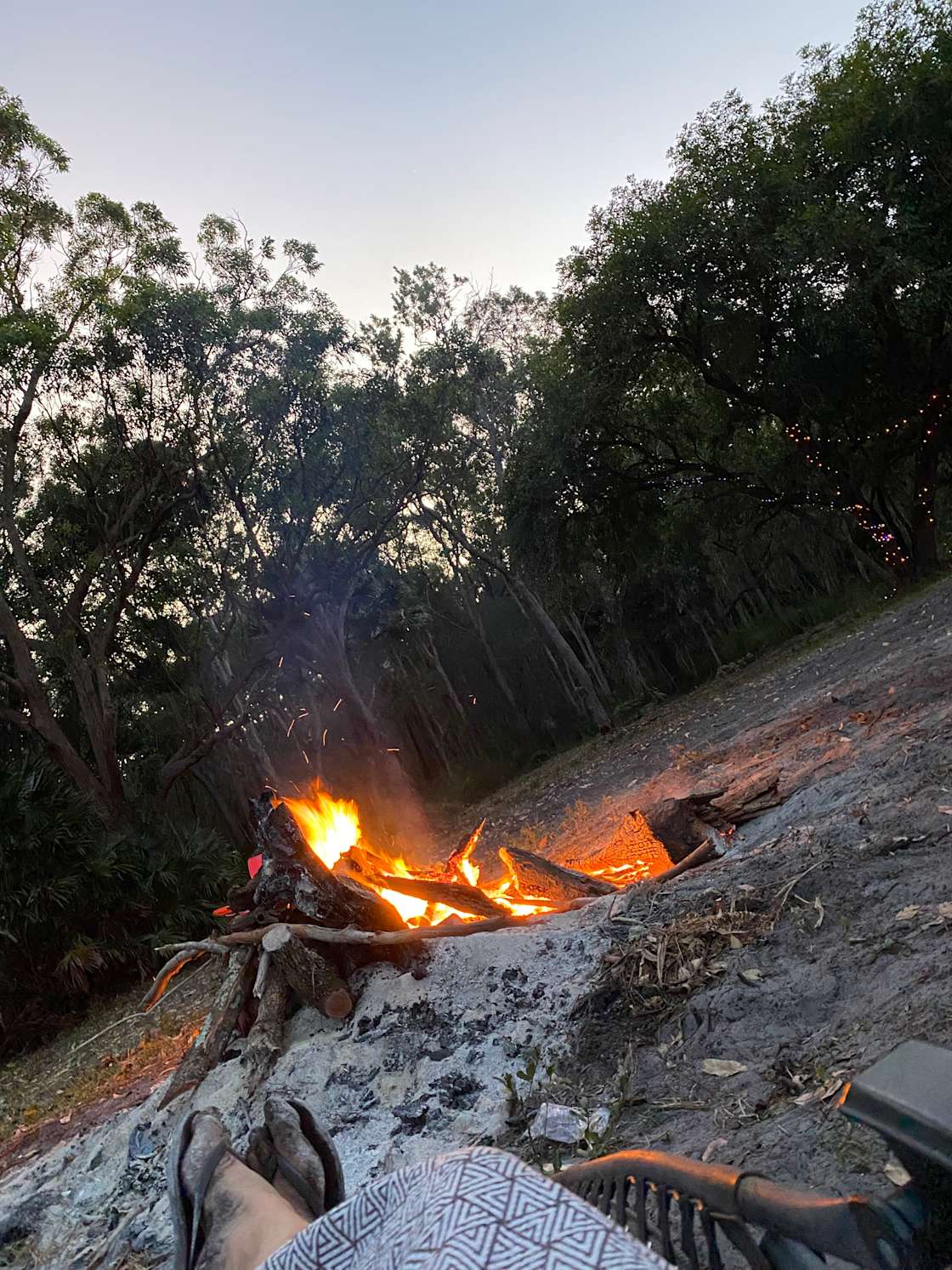 Pindimar Paradise - Hipcamp in Pindimar, New South Wales