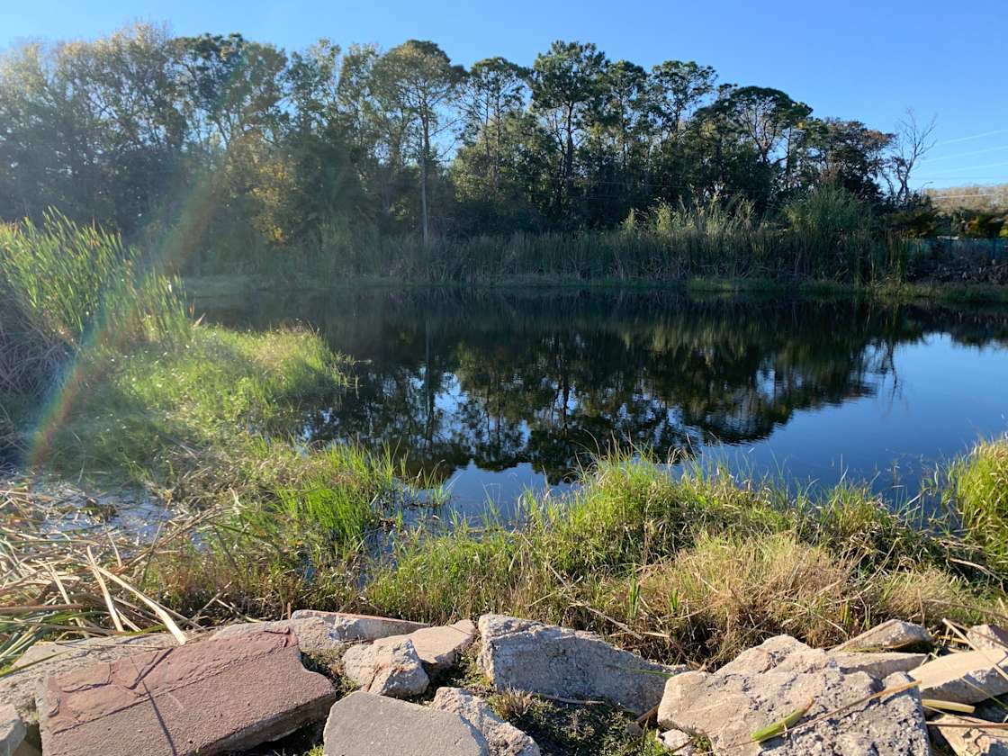 Alexis R.’s Land - Hipcamp in Sarasota, Florida