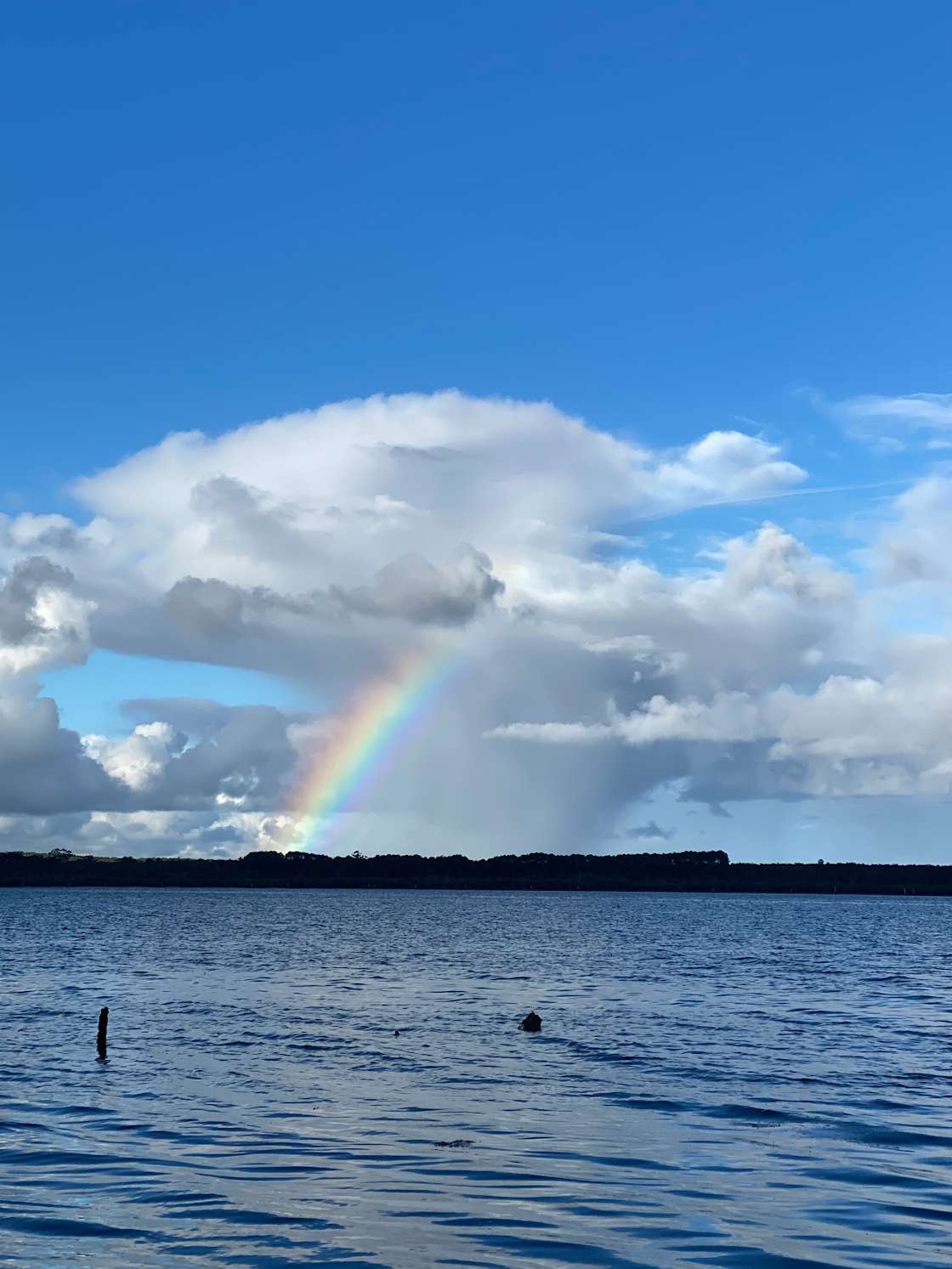 Pindimar Paradise - Hipcamp in Pindimar, New South Wales