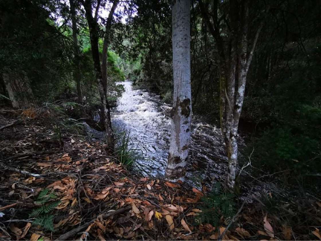 River Song - Hipcamp in Tyenna, Tasmania