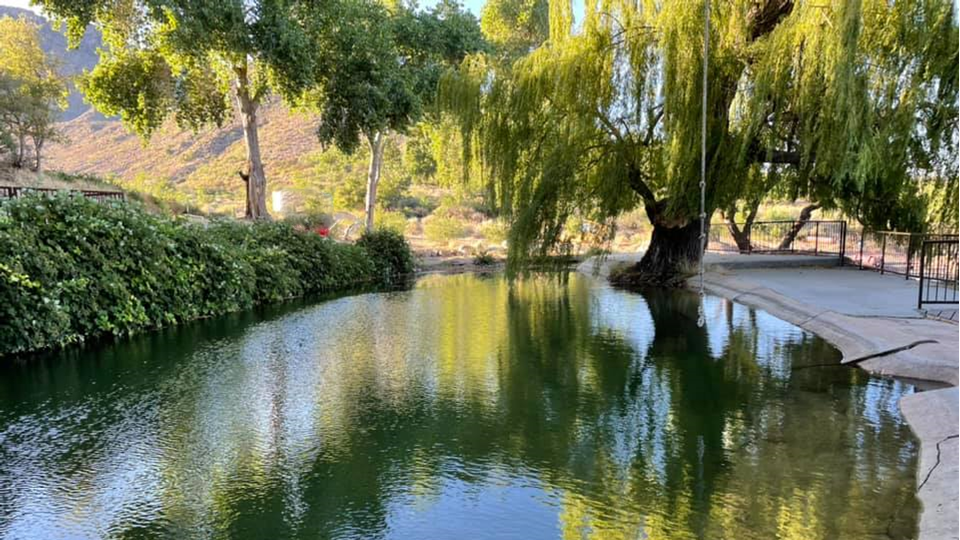 Aravada Springs Desert Oasis - Hipcamp in Bunkerville, Nevada