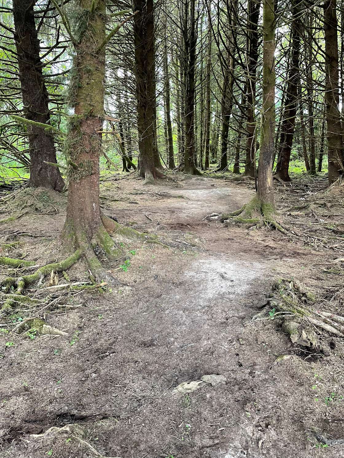 Rhett's Ranch - Hipcamp in Chinook, Washington