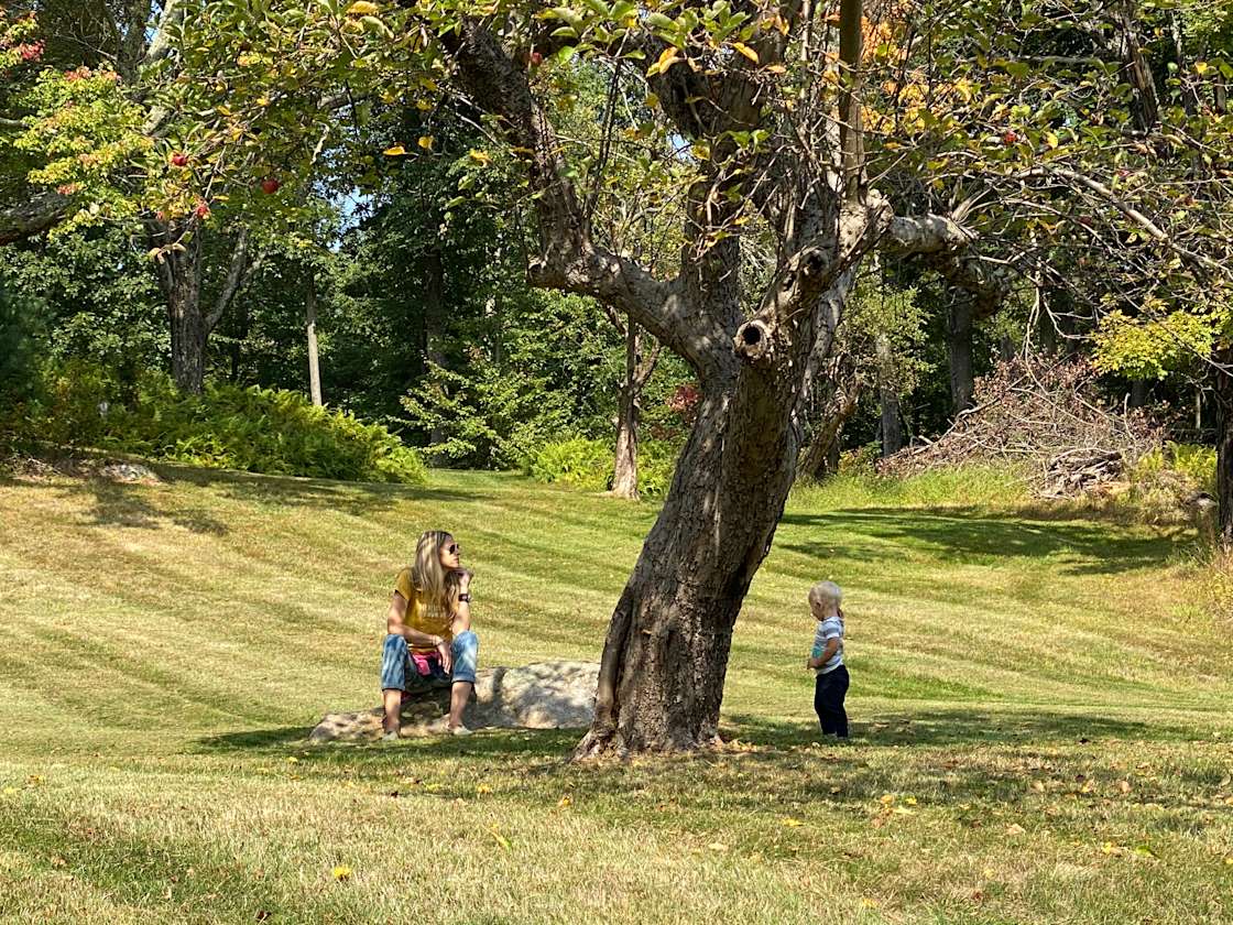 Bluebird Cabin - Hipcamp in Walker Valley, New York