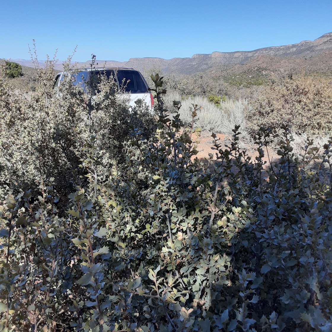Iron springs Basin - Hipcamp in Antares, Arizona