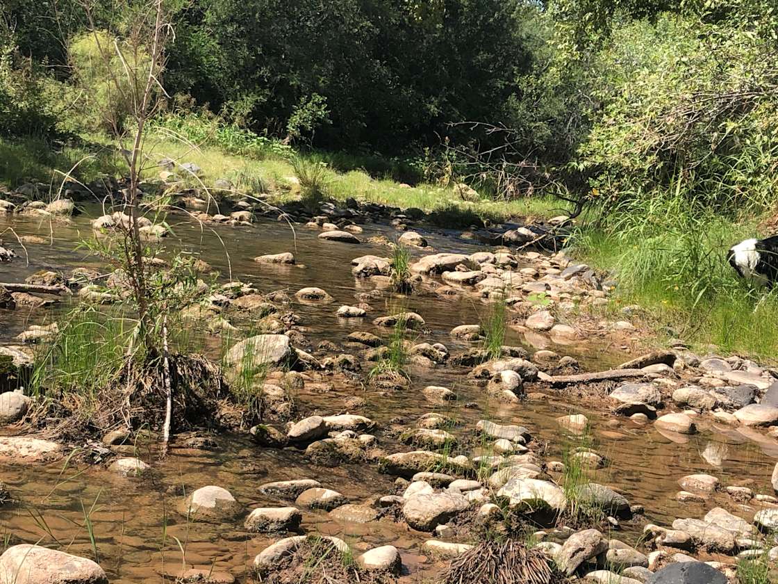 Beaver Creek Oasis - Hipcamp in Rimrock, Arizona