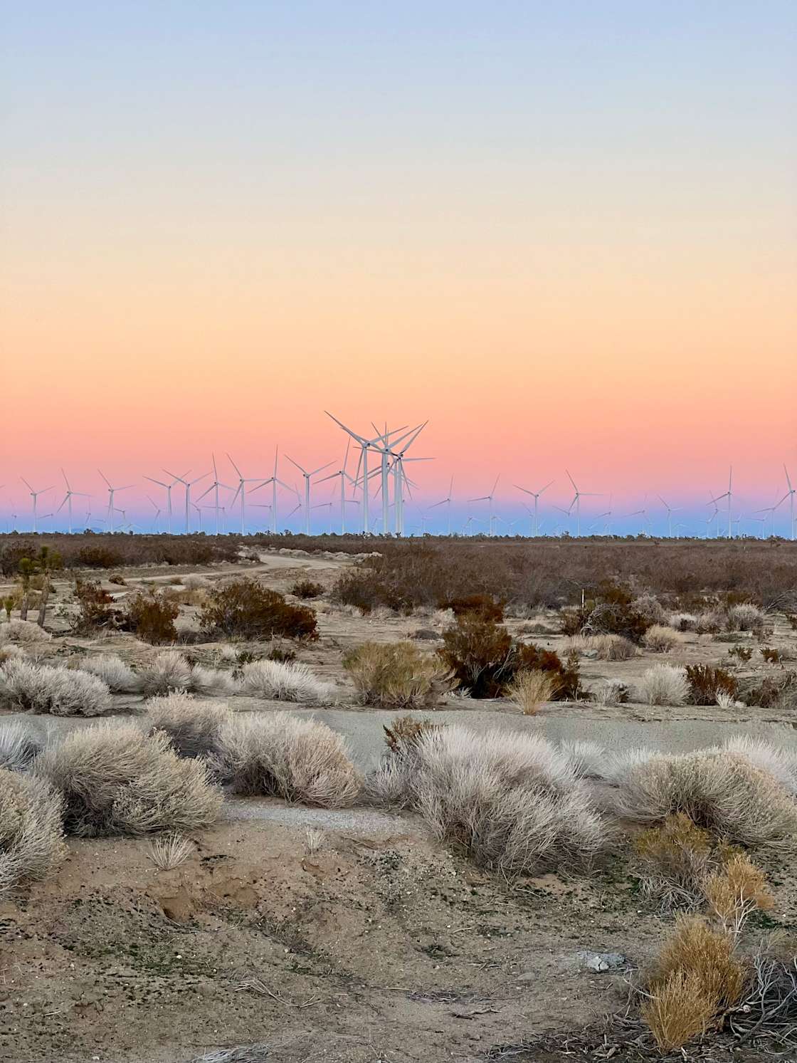 Wind Walker Ranch - Hipcamp in Mojave, California