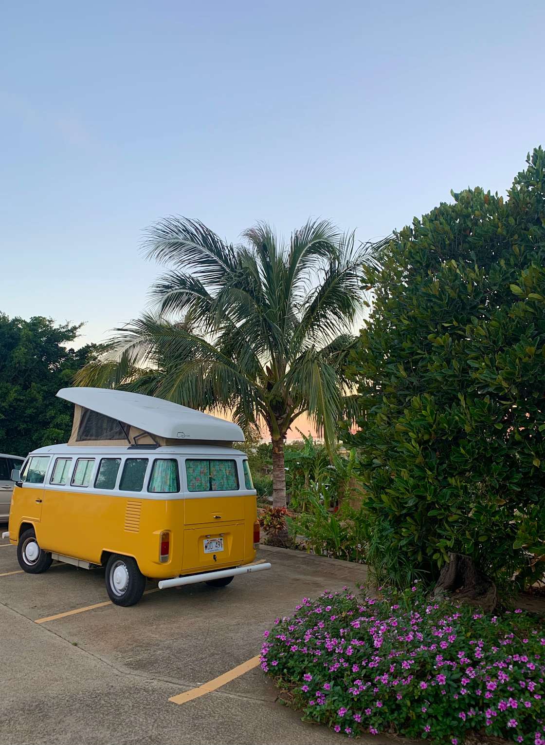 Sun Farm Hawaii @ Koko Head - Hipcamp in Honolulu, Hawaii