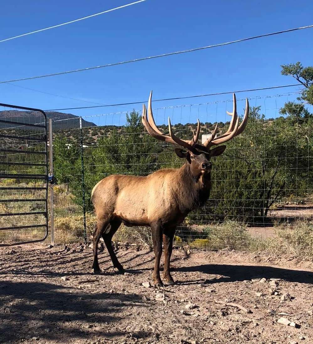 Elk Ridge Ranch - Hipcamp in Placitas, New Mexico