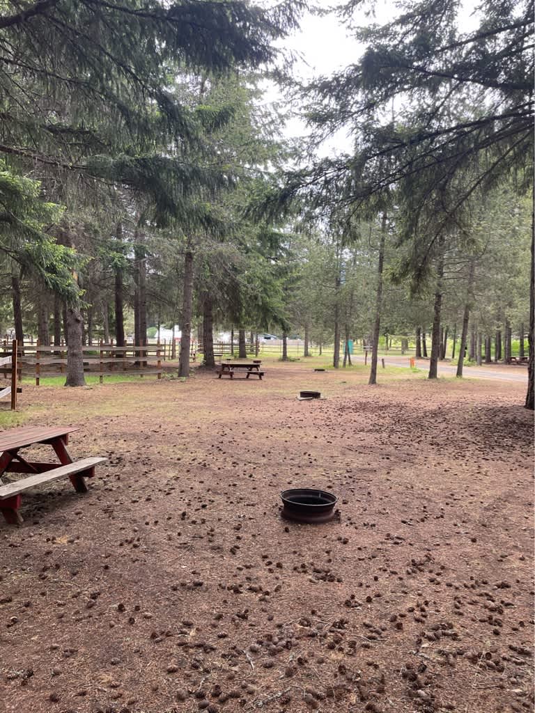 Silver Ridge Ranch & Campground - Hipcamp in Cle Elum, Washington