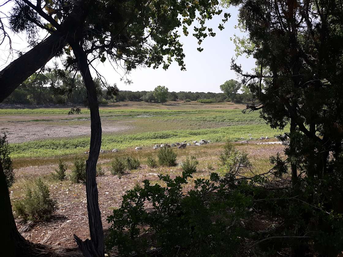 Concho Mesa Overlook - Hipcamp in Vernon, Arizona