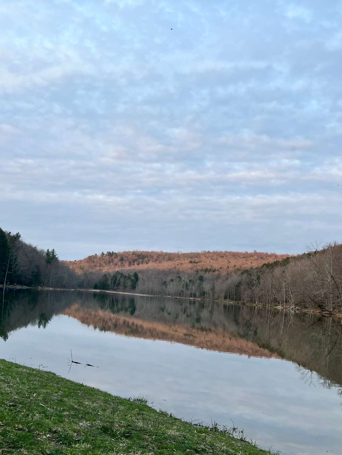 Lake Front Campsite !!! - Hipcamp in Meshoppen, Pennsylvania