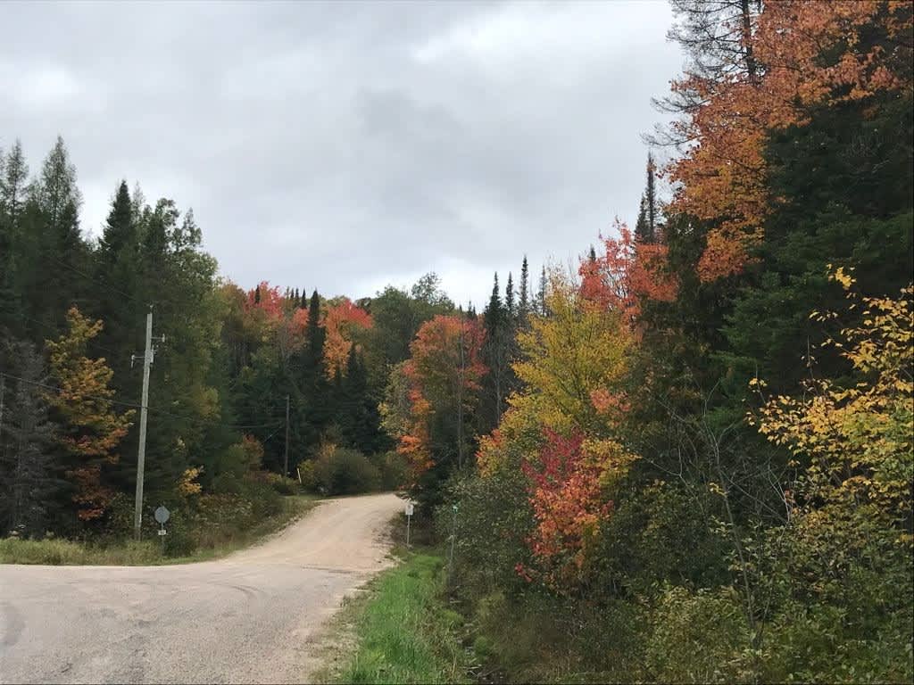 Off Grid Forest Retreat - Hipcamp in Machar, Ontario