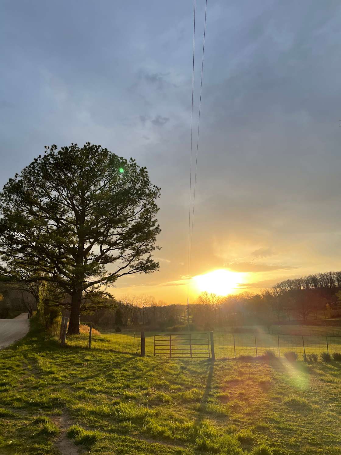 Bentonville Bike Camp - Hipcamp in Bentonville, Arkansas