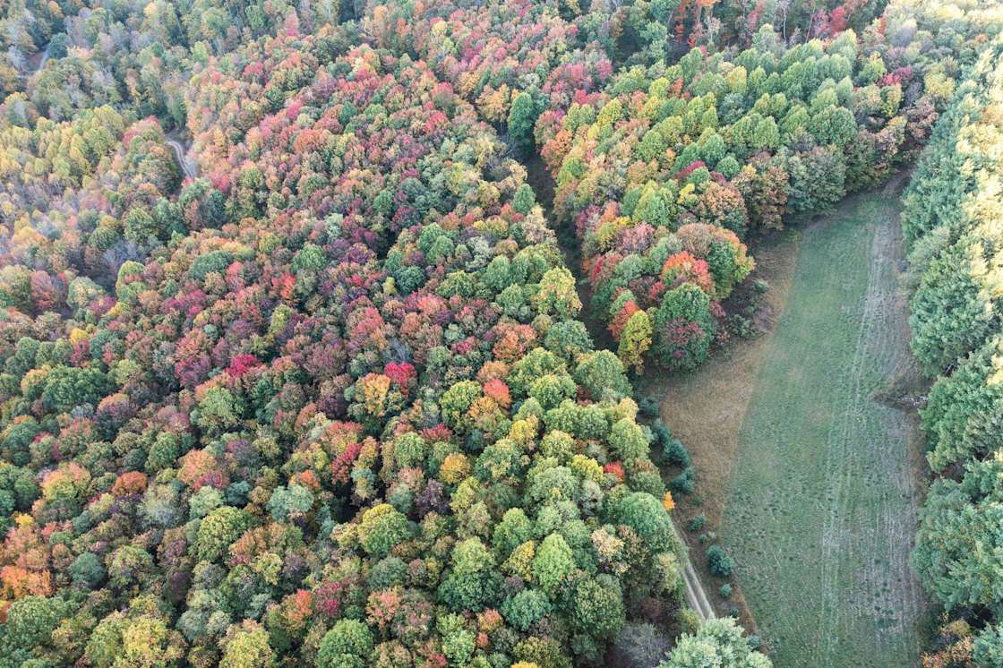 The Trails at Files Creek - Hipcamp in East Dailey, West Virginia