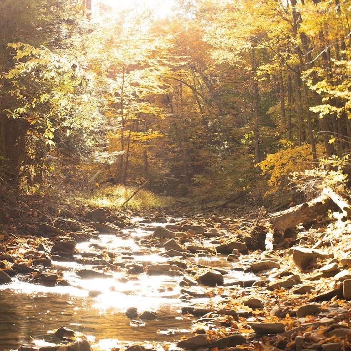 The Trails at Files Creek - Hipcamp in East Dailey, West Virginia