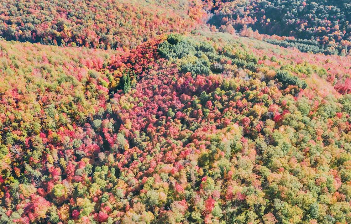 The Trails at Files Creek - Hipcamp in East Dailey, West Virginia