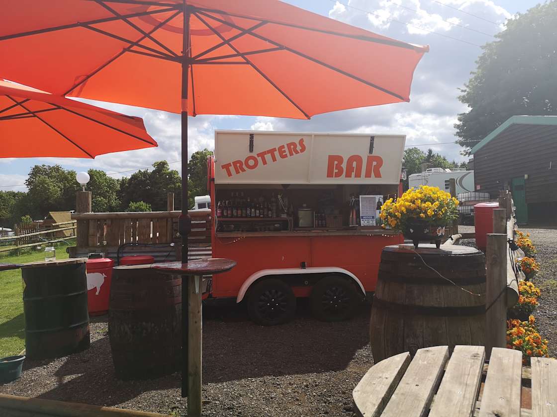 The Pig Place Campsite - Hipcamp in Oxfordshire, England