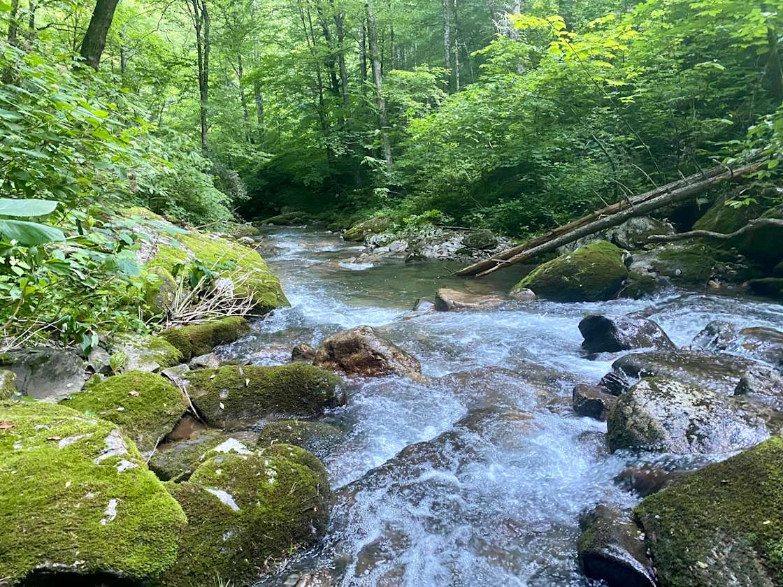 Cranberry Reserve - Hipcamp in Maggie Valley, North Carolina