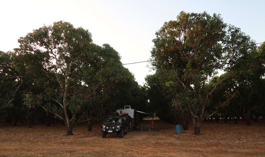 Mango Farm Stay - Hipcamp in Tumbling Waters, Northern Territory