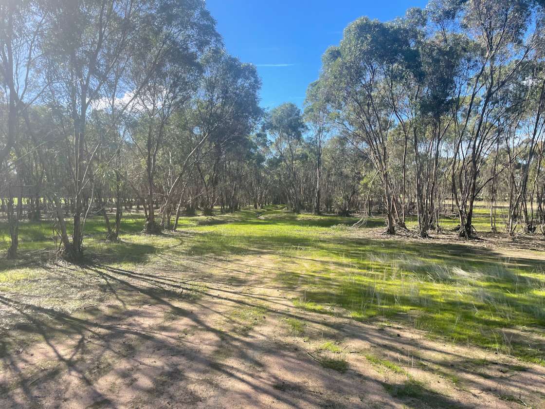 McCabe Farm - Hipcamp in Brookton, Western Australia