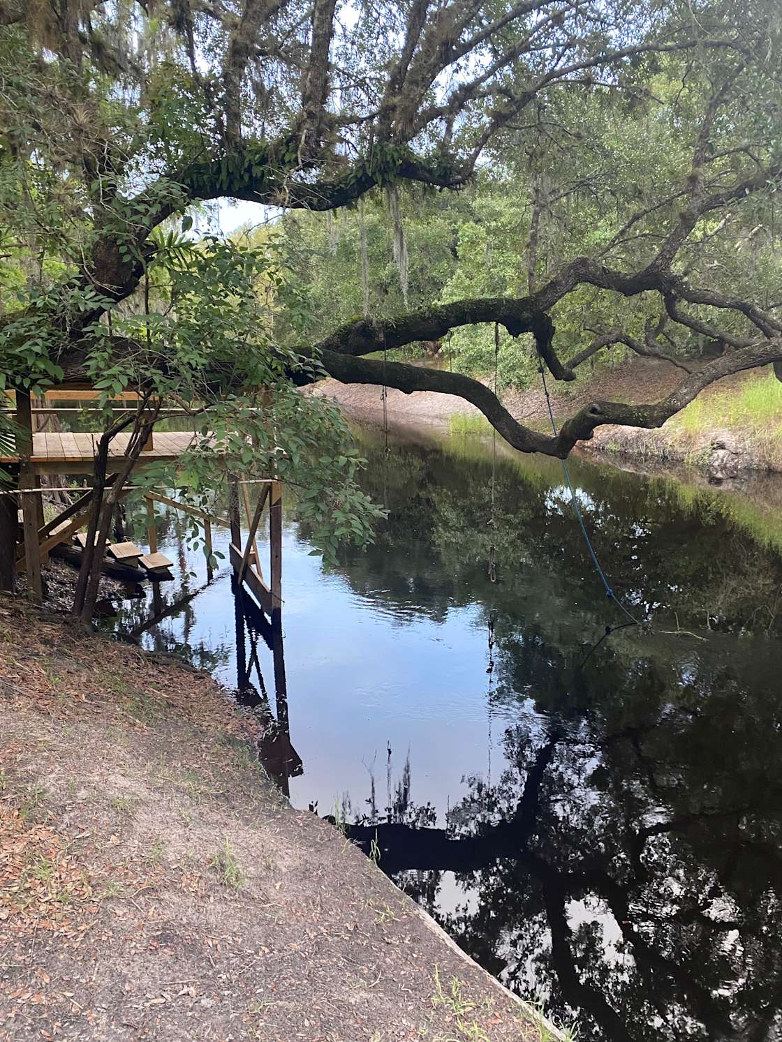 Camp Champ - Hipcamp in Zolfo Springs, Florida
