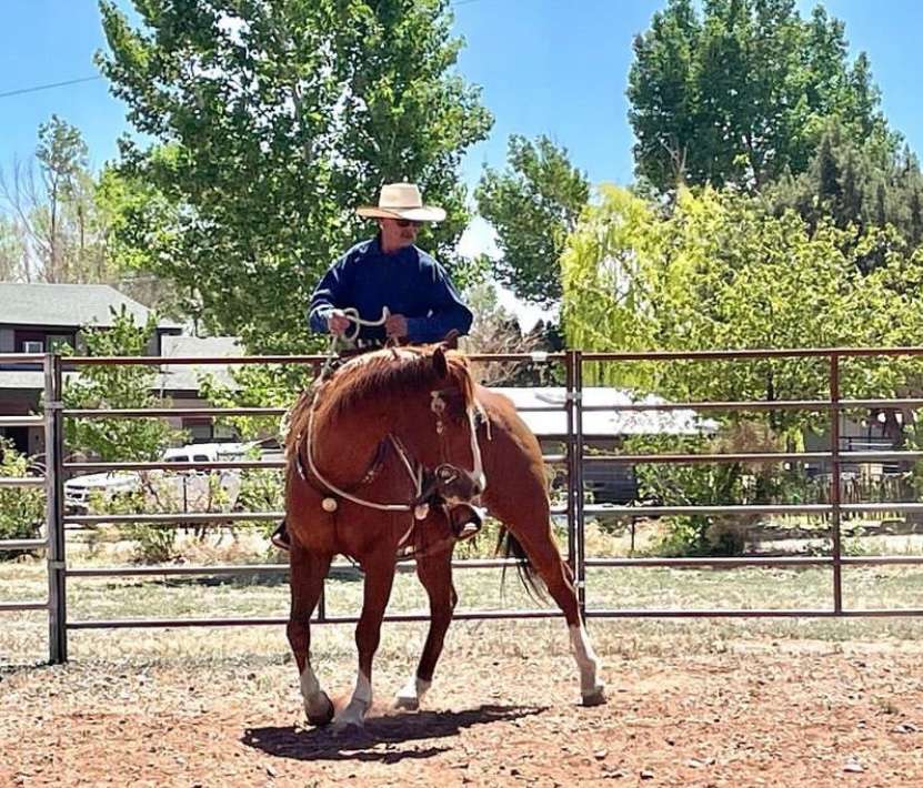 J/J Horsemanship Center - Hipcamp in Snowflake, Arizona