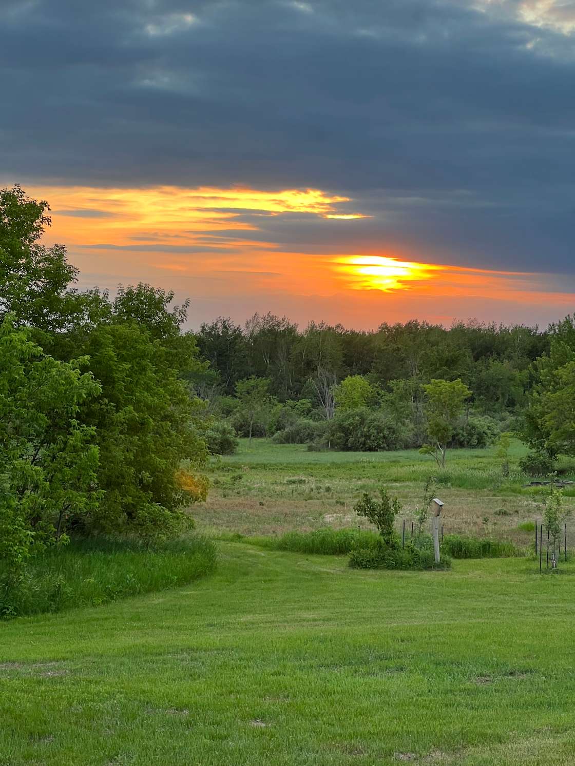 Marsh Mellow Meadow - Hipcamp in Baldwin, Wisconsin