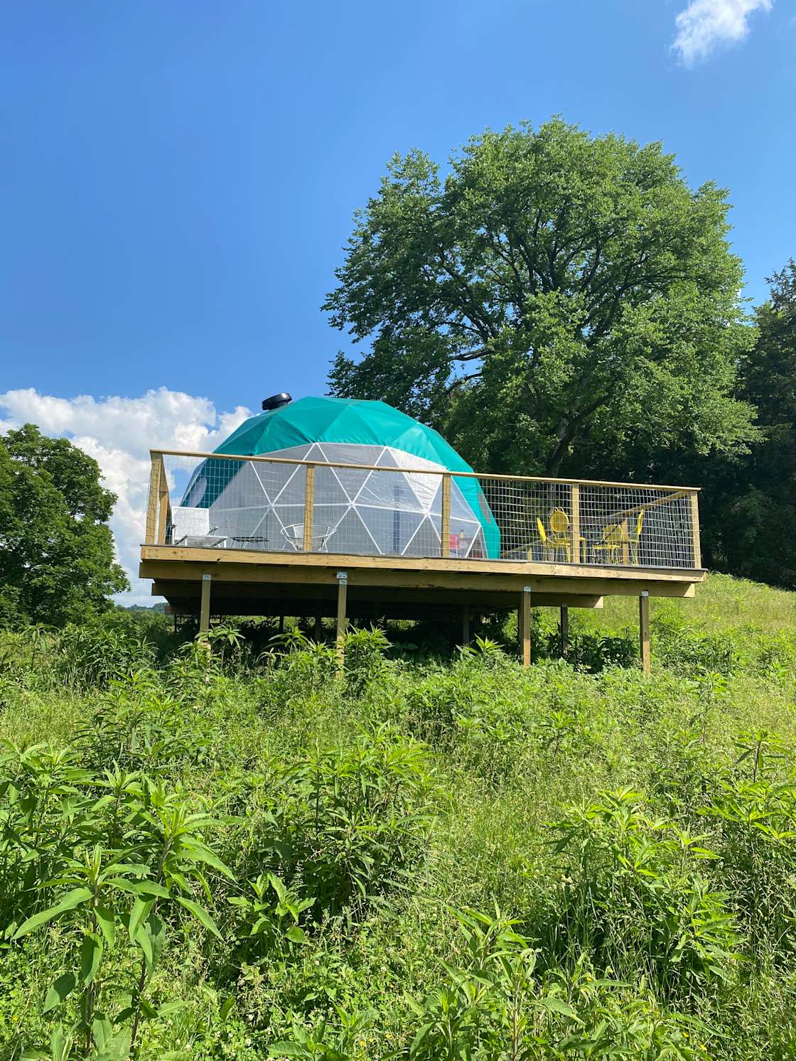 Quarter Spring Farm - Hipcamp in Liberty, Tennessee