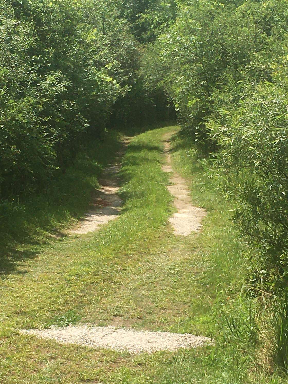 Perth Camping by the River - Hipcamp in Perth, Ontario